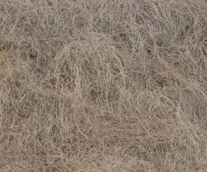 various grass textures - Texturelib